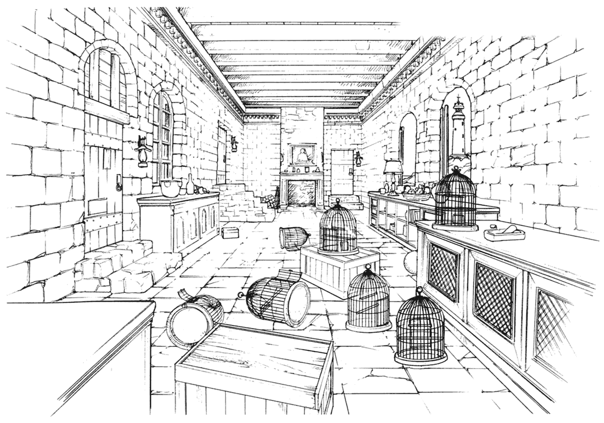 Edea's Orphanage Bird Cages Art - Final Fantasy VIII Art Gallery